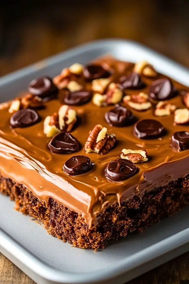 Easy Texas Turtle Sheet Cake - Sally Meals